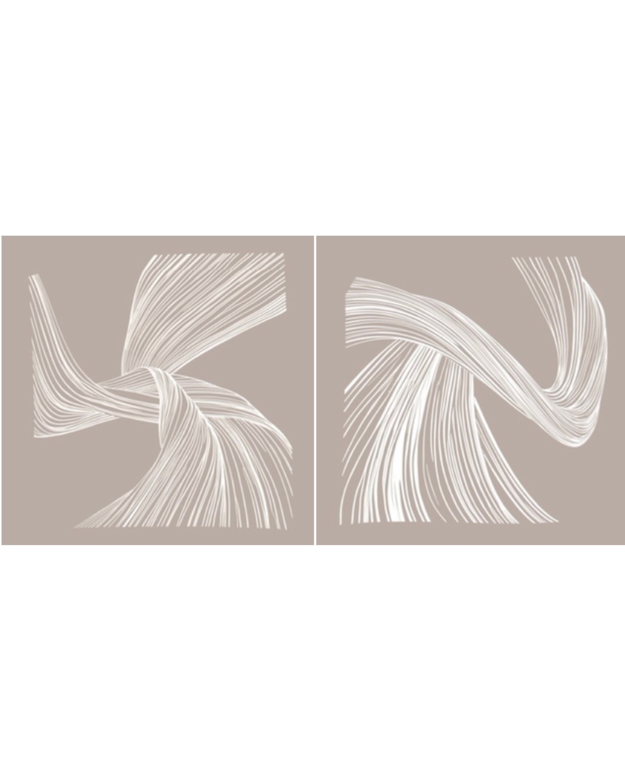(HIRED) Framed - Taupe Line Drawing Duo
