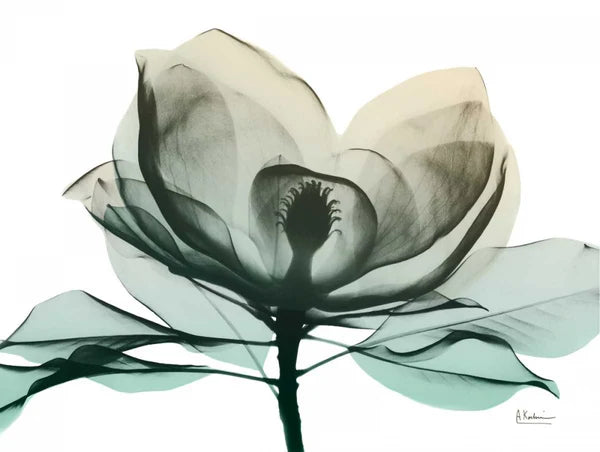 Framed Emerald Magnolia - Print B